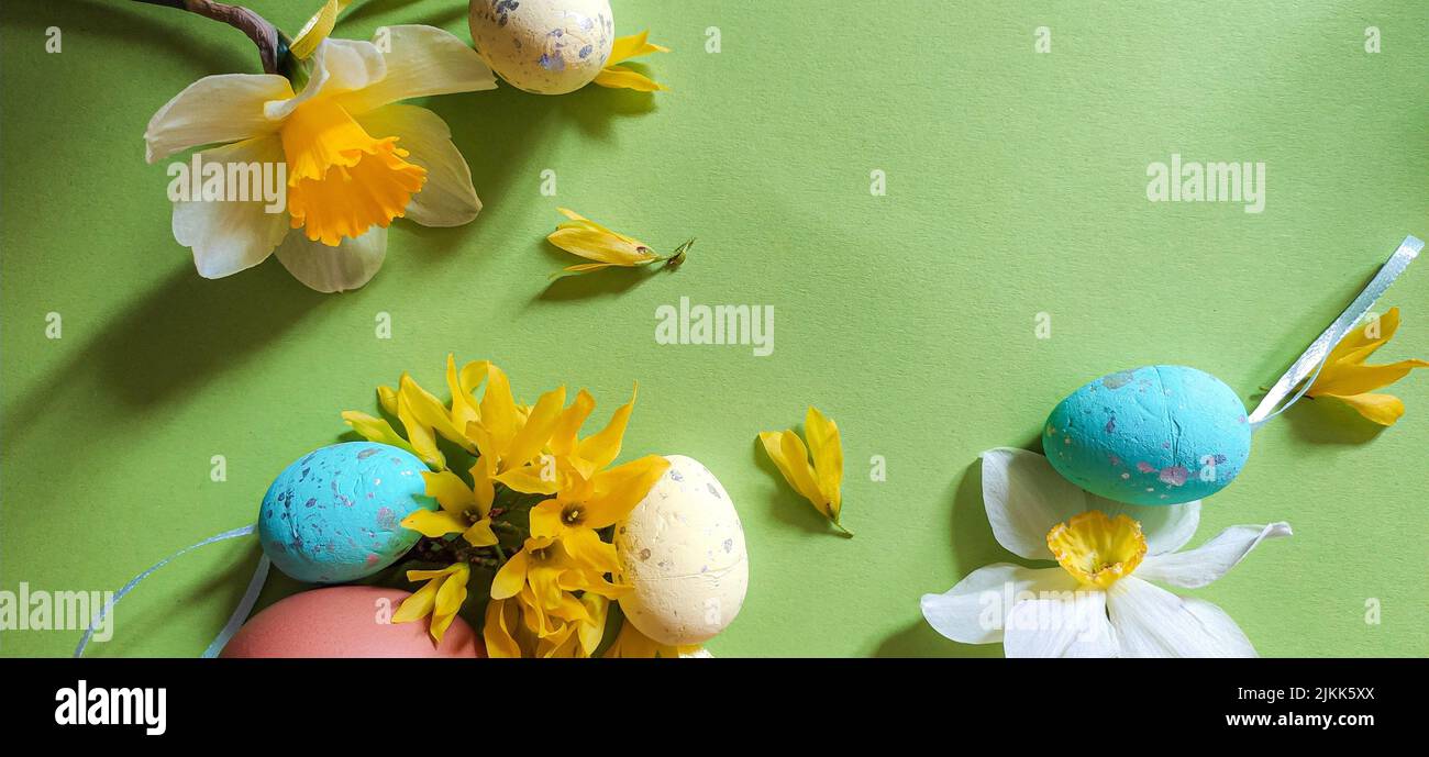 a top view shot of yellow shrub flowers, a chicken egg, green and ...