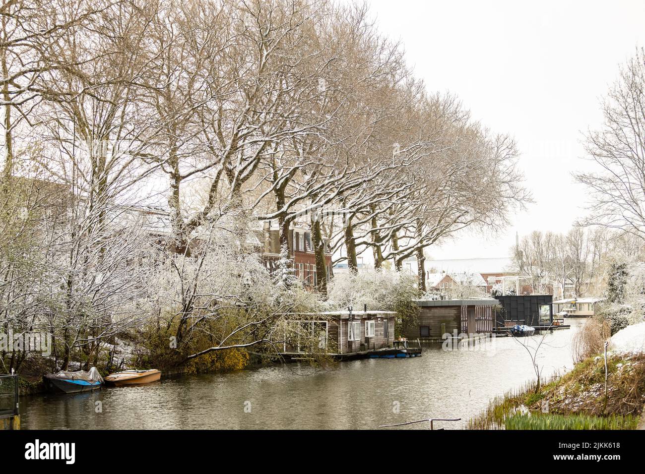 Great detail and texture of the trees and vegetation with graphic ...