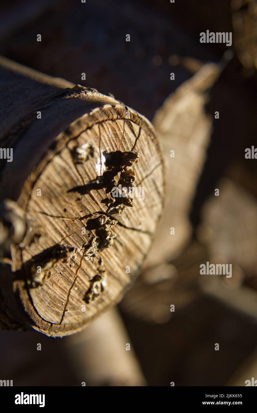 Wooden cut log hi-res stock photography and images - Alamy