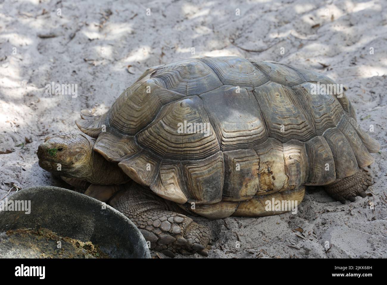Sand shell island hi-res stock photography and images - Alamy