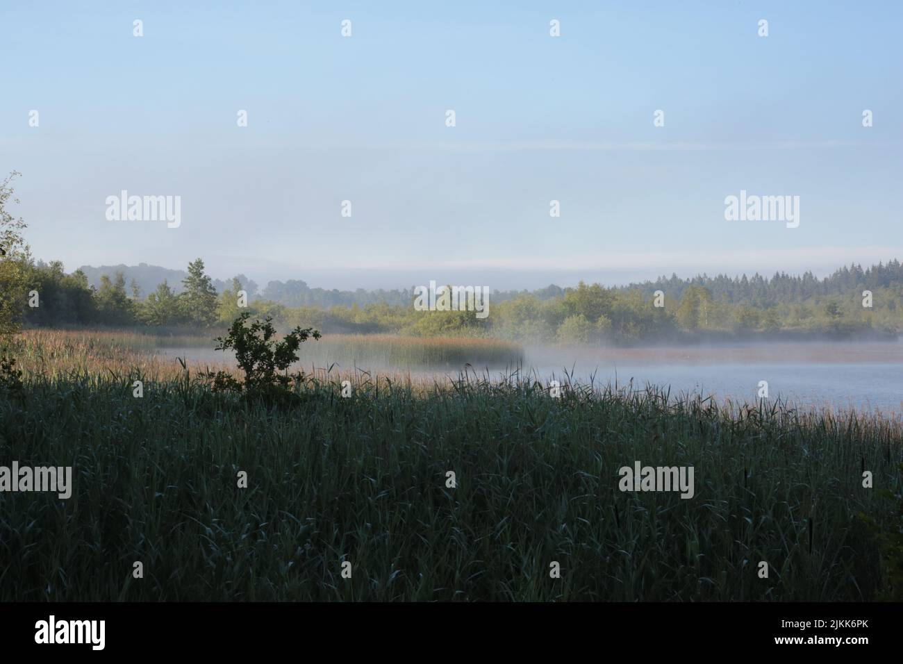 A misty morning near a lake in Vaxjo, Sweden Stock Photo - Alamy
