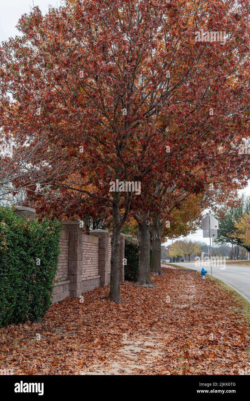 Mckinney street hi-res stock photography and images - Alamy