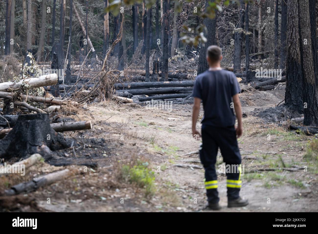 Schmilka, Germany. 02nd Aug, 2022. A firefighter surveys the fire ...
