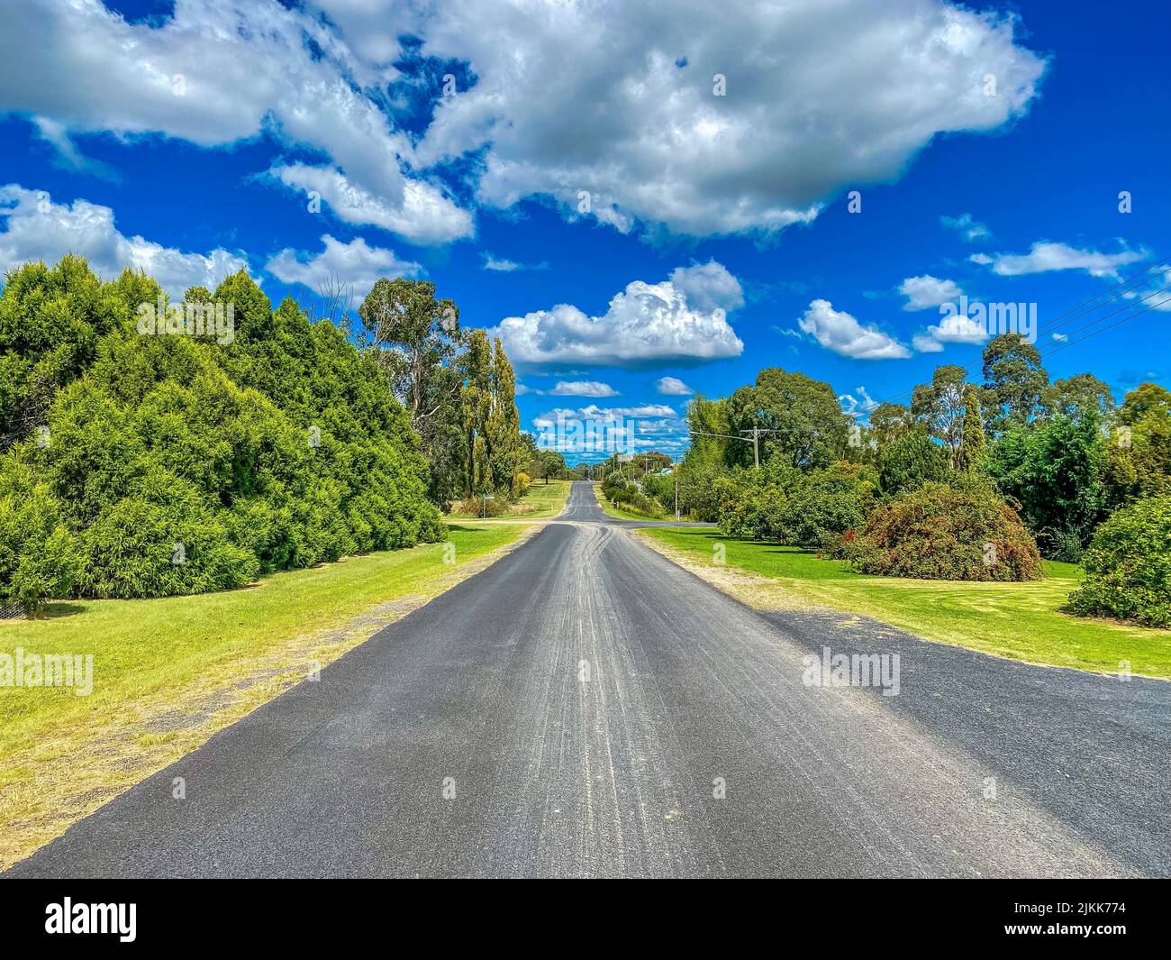 A beautiful view of an empty road surrounded with evergreen trees in ...
