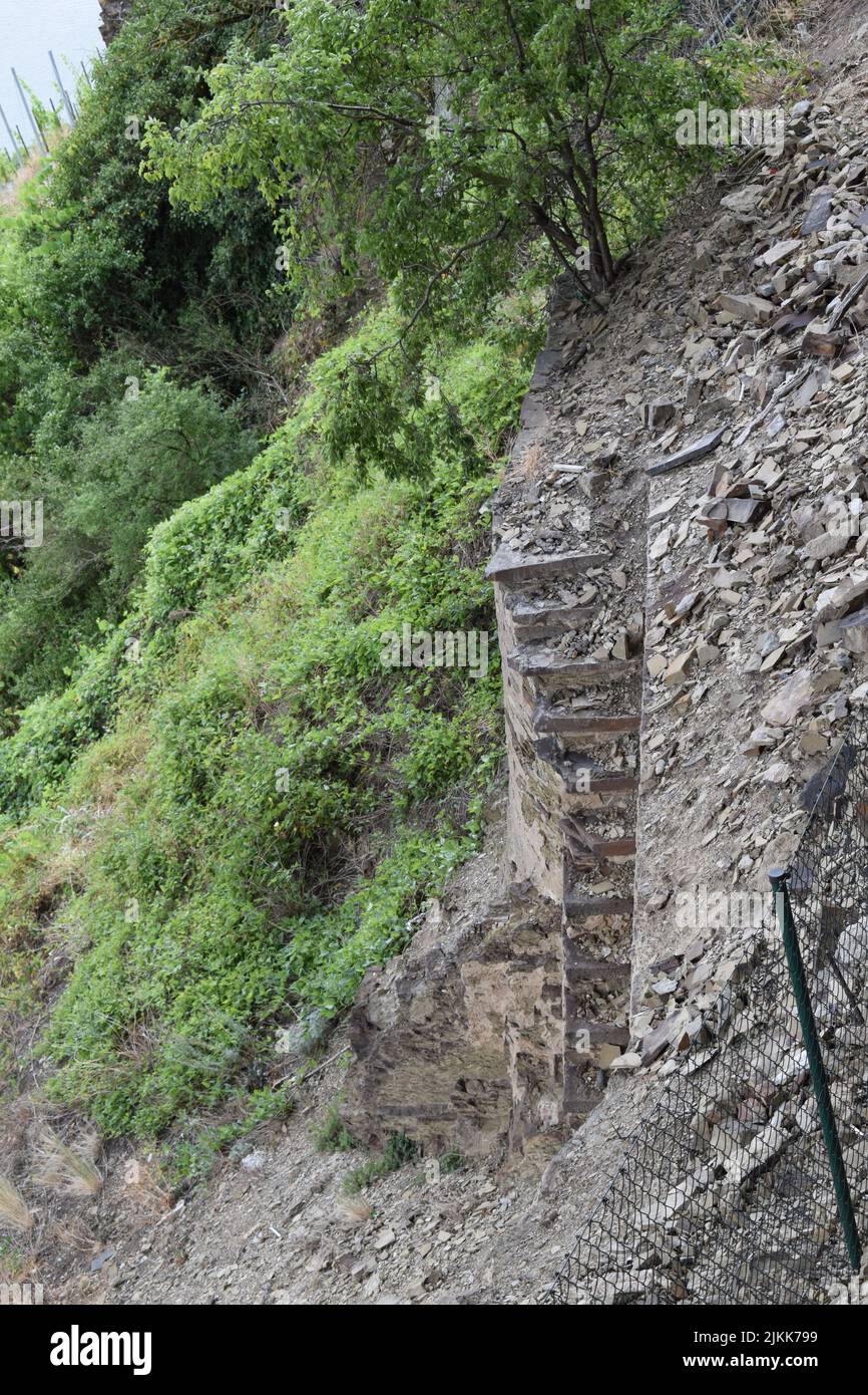 vineyard wall and stairway Stock Photo - Alamy