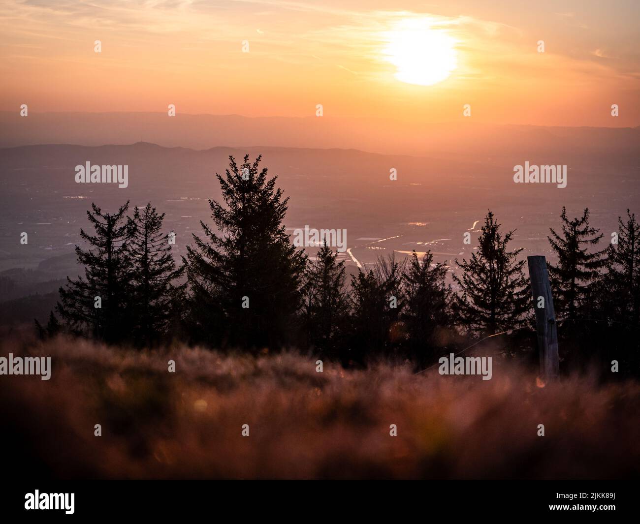 A breathtaking landscape with trees on the seacoast on a colorful ...
