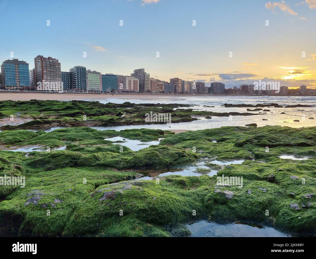 A moss-covered stones on the beach with a urban panorama and yellow ...