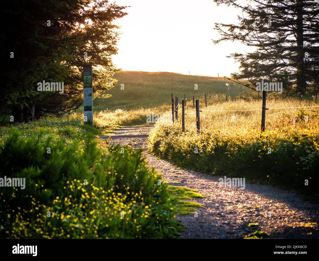 Narrow path through the grass hi-res stock photography and images - Alamy