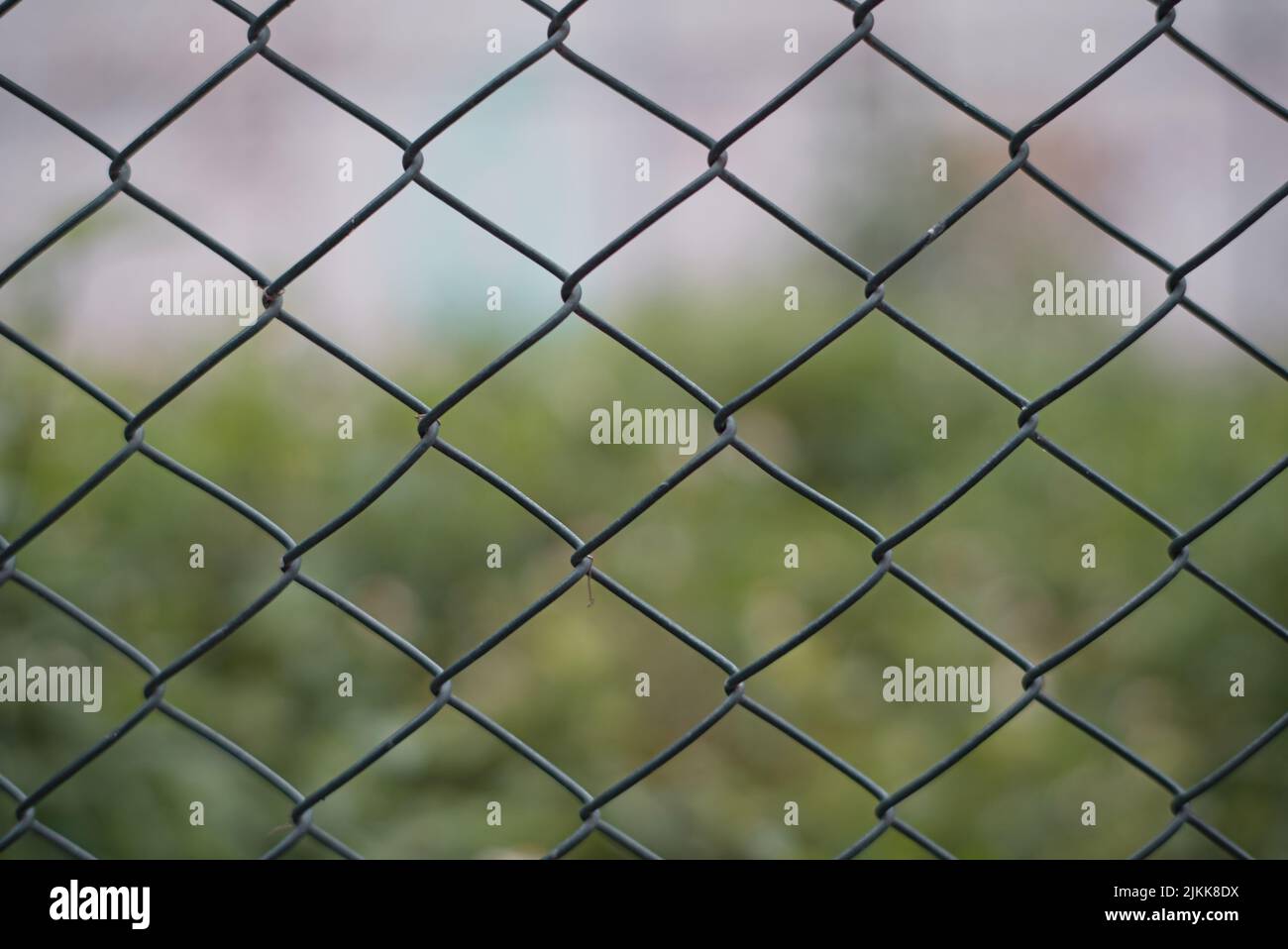 A closeup of a mesh wire fence isolated on a blurry background Stock ...