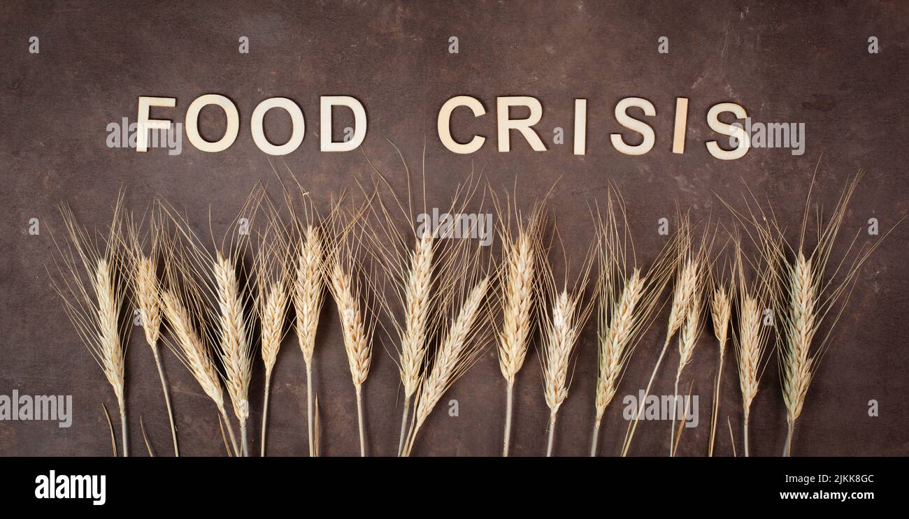 Food crisis with increasing prices and shortages, wheat ears on a brown ...