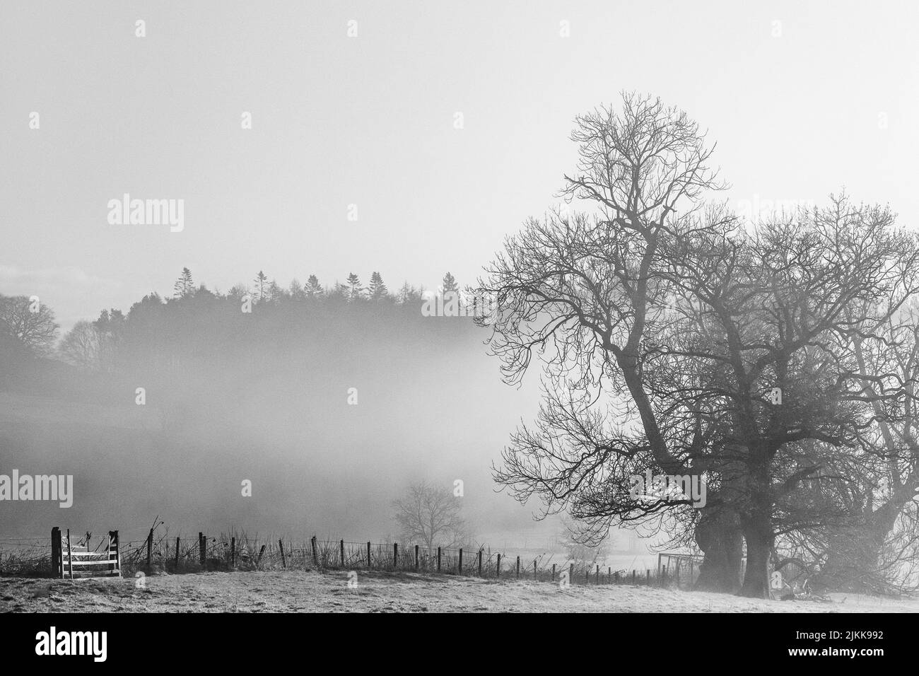 Hexham northumberland Black and White Stock Photos & Images - Alamy