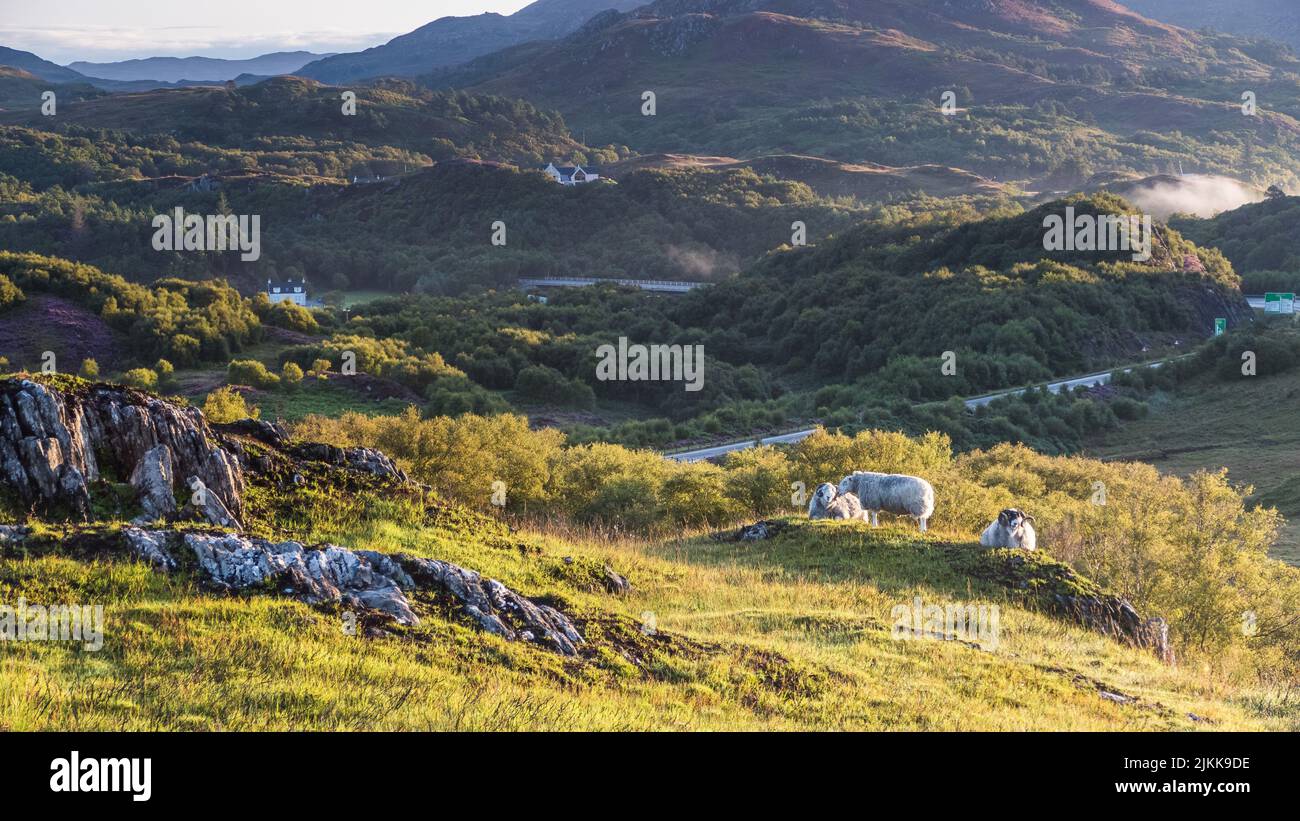An aerial view of a natural landscape in Scotland, United Kingdom Stock ...