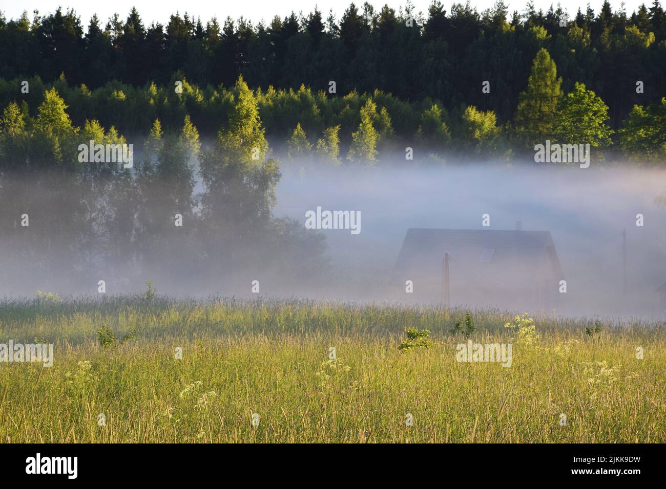 A wallpaper of rural house at foggy forest Stock Photo - Alamy
