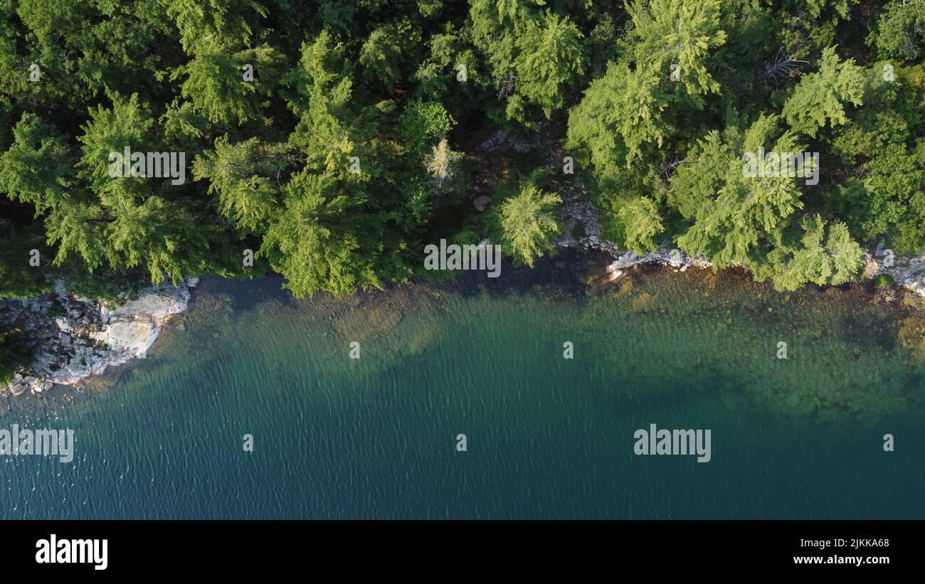 An aerial view of lush green trees on the shore Stock Photo - Alamy