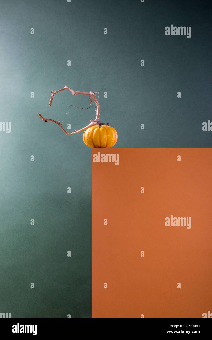 Still life with a decorative pumpkin on a rectangular figure Stock ...