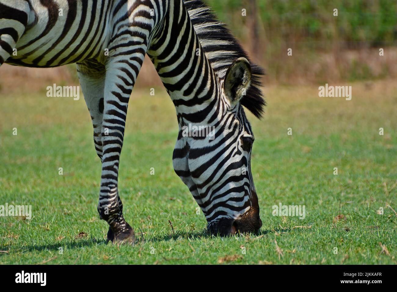 Lusaka zambia city hi-res stock photography and images - Alamy
