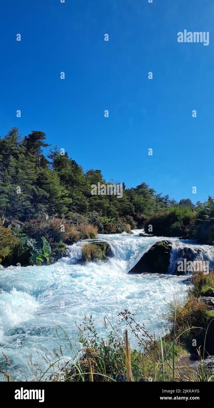 A beautiful view of a river surrounded by trees in Chile Stock Photo ...