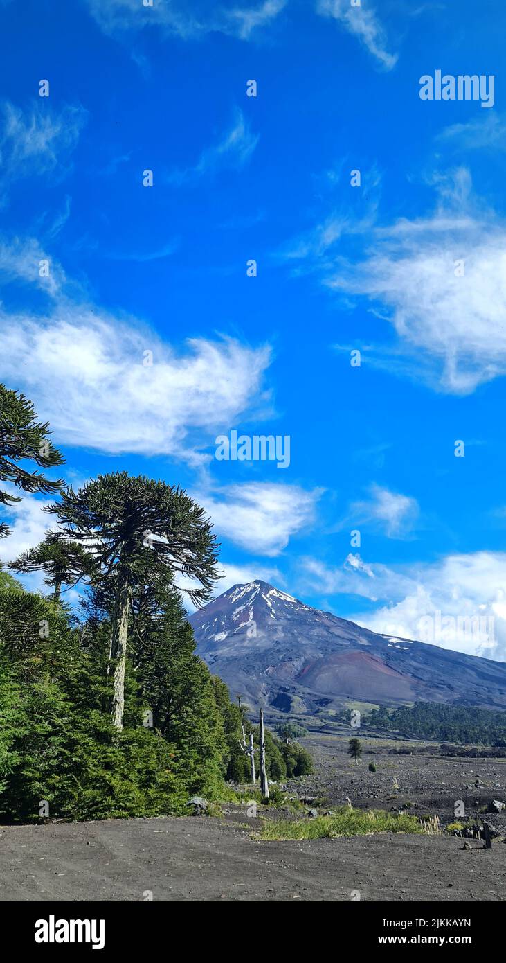 Beautiful chile hi-res stock photography and images - Alamy