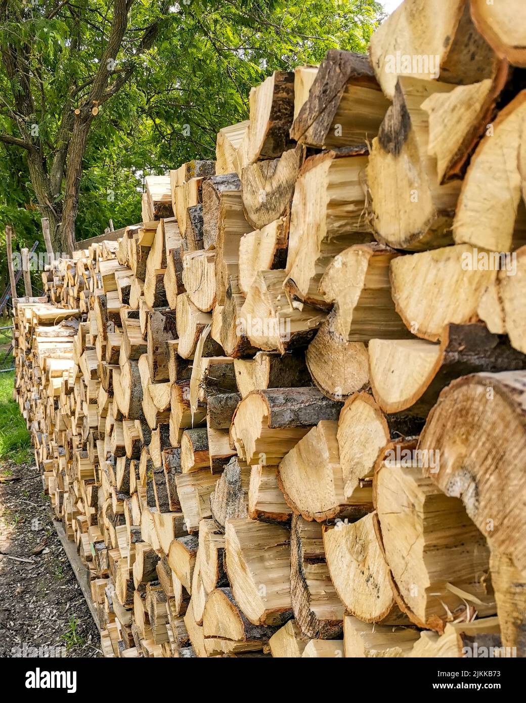 A vertical shot of a pile of wooden logs in a rural area Stock Photo ...