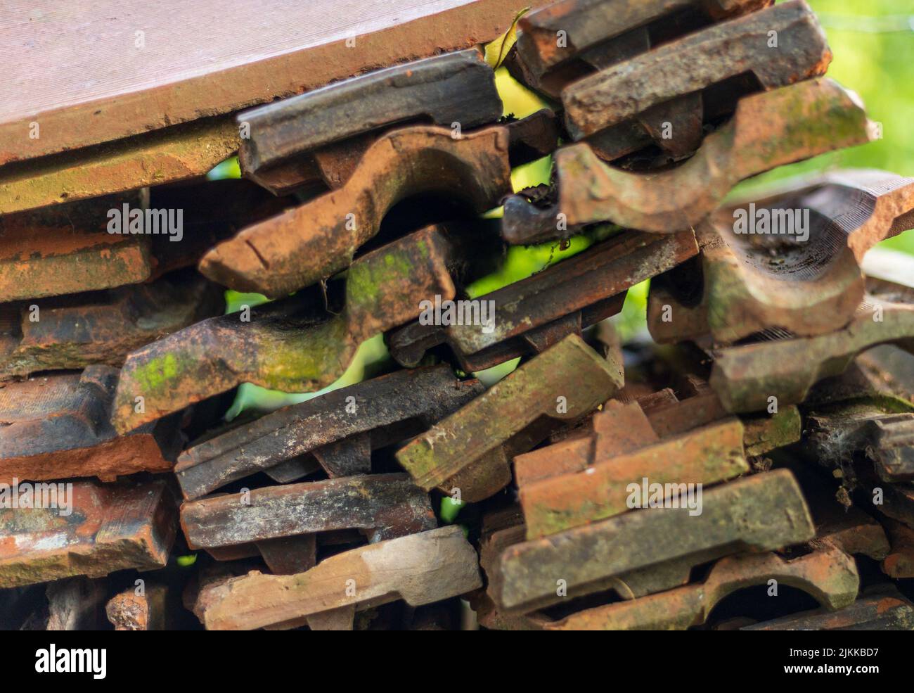 A closeup shot of roofing tiles in a very beautiful shape in a green ...