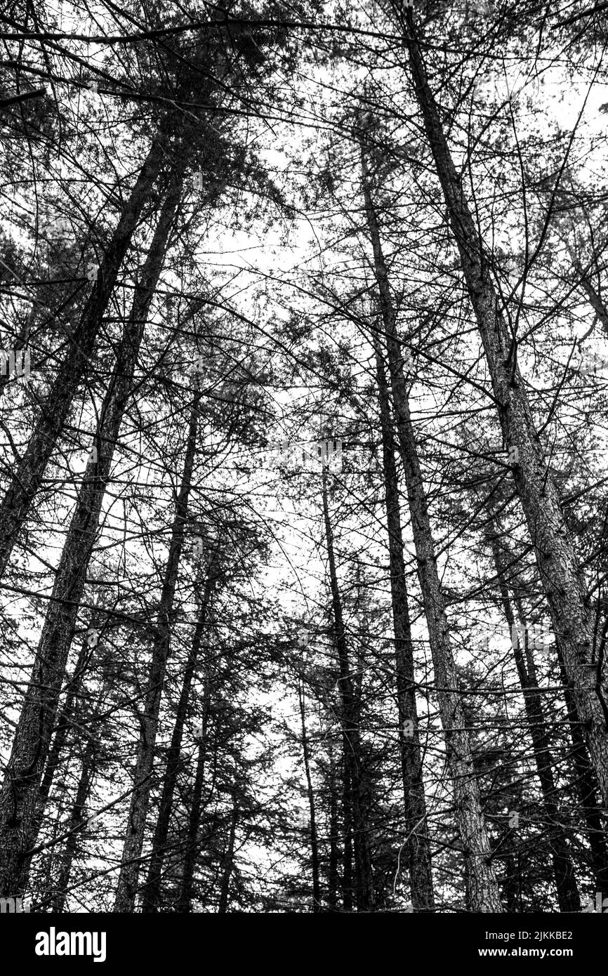 Full landscape view Black and White Stock Photos & Images - Alamy