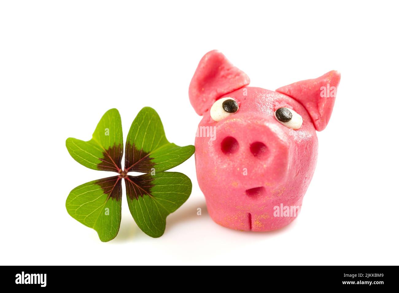 green shamrock with lucky pig sign for happiness isolated on white ...