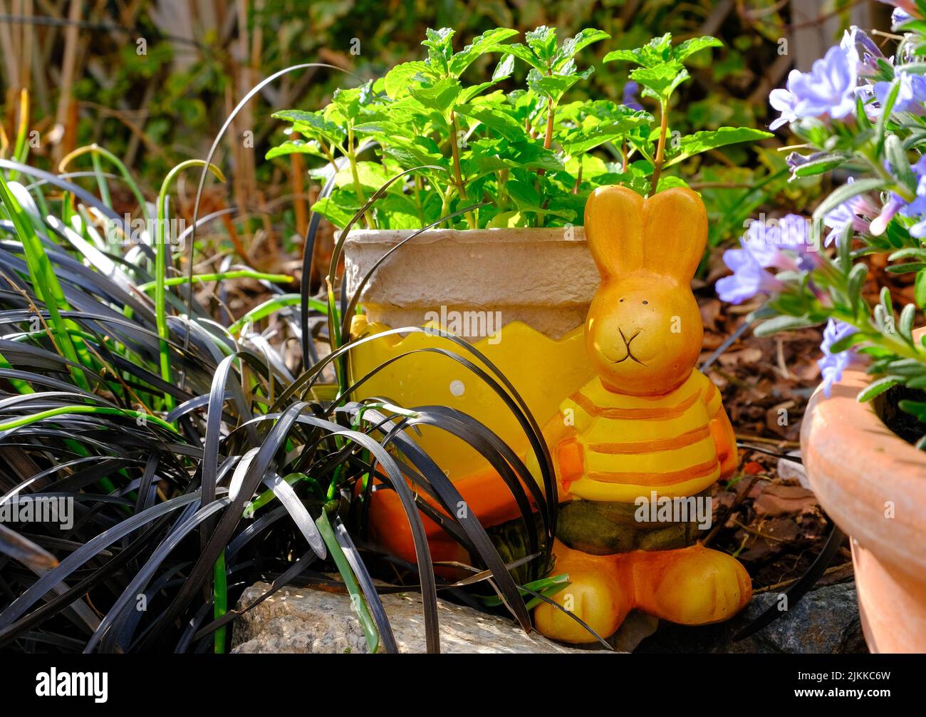 A pot with a yellow easter bunny design carrying a bunch of herbs Stock ...