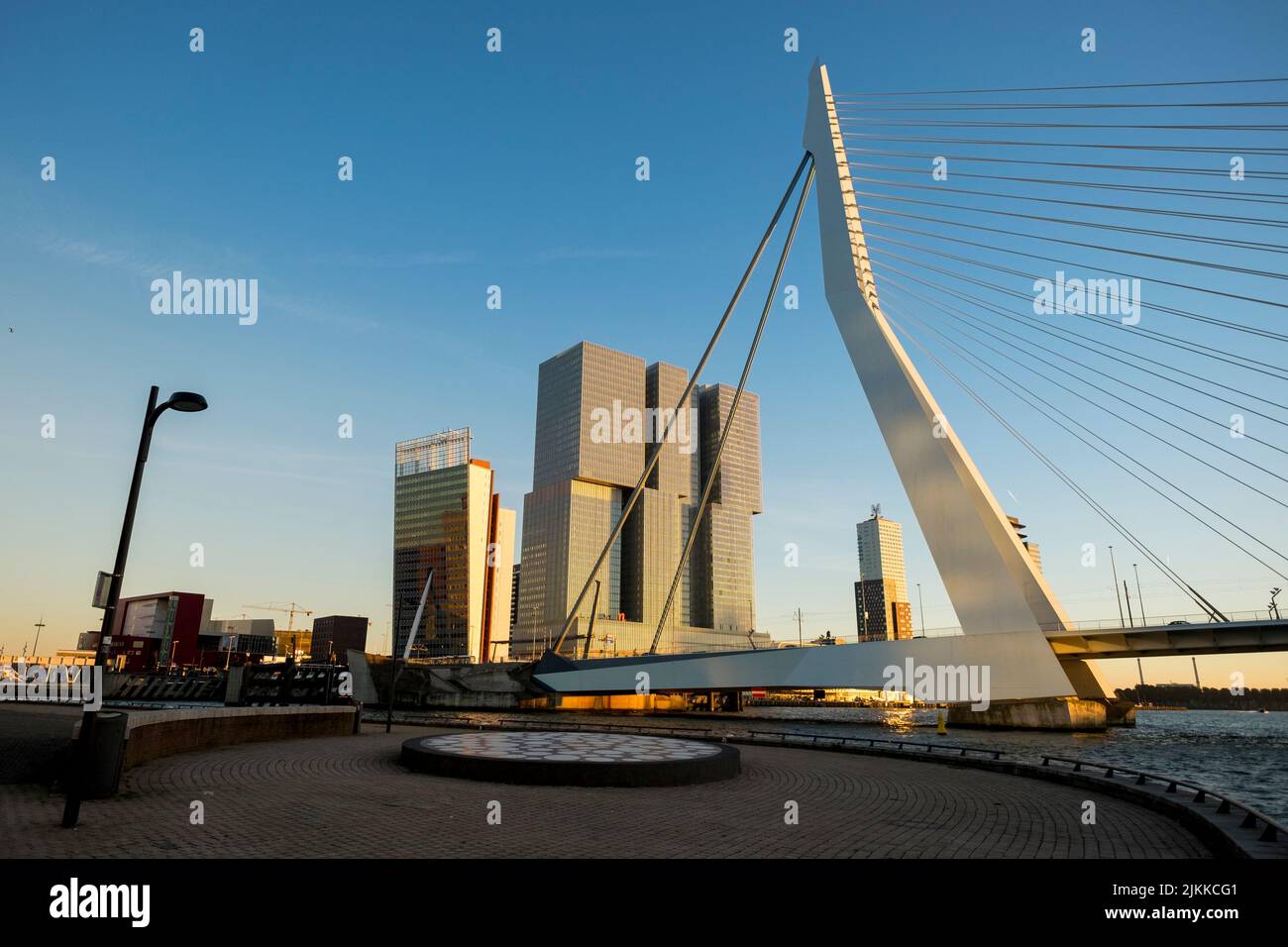 A scenic view of the Erasmusbrug bridge in Rotterdam, the Netherlands ...