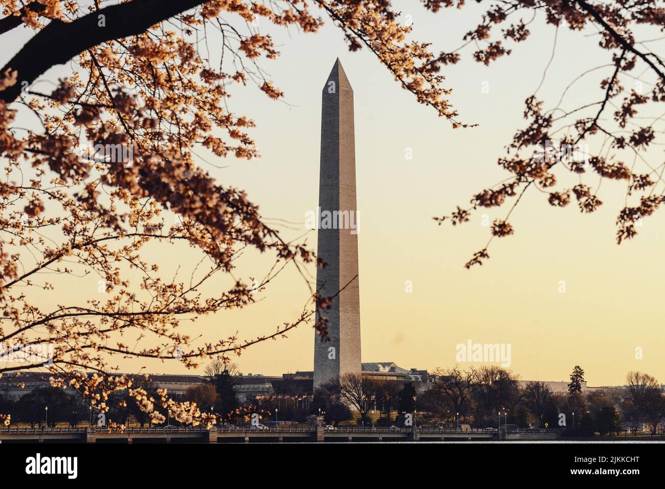 A beautiful shot of the tall Washington Monument during sunset, seen ...