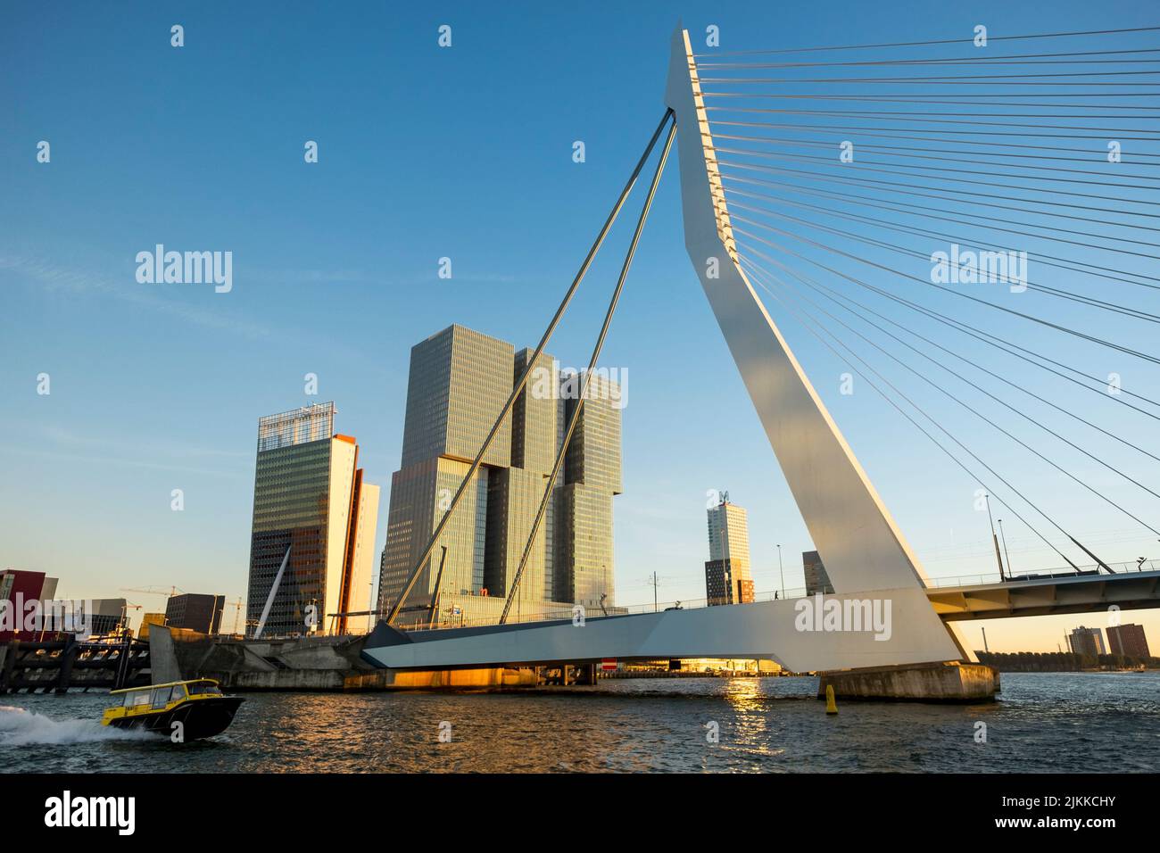 A scenic view of the Erasmusbrug bridge in Rotterdam, the Netherlands ...