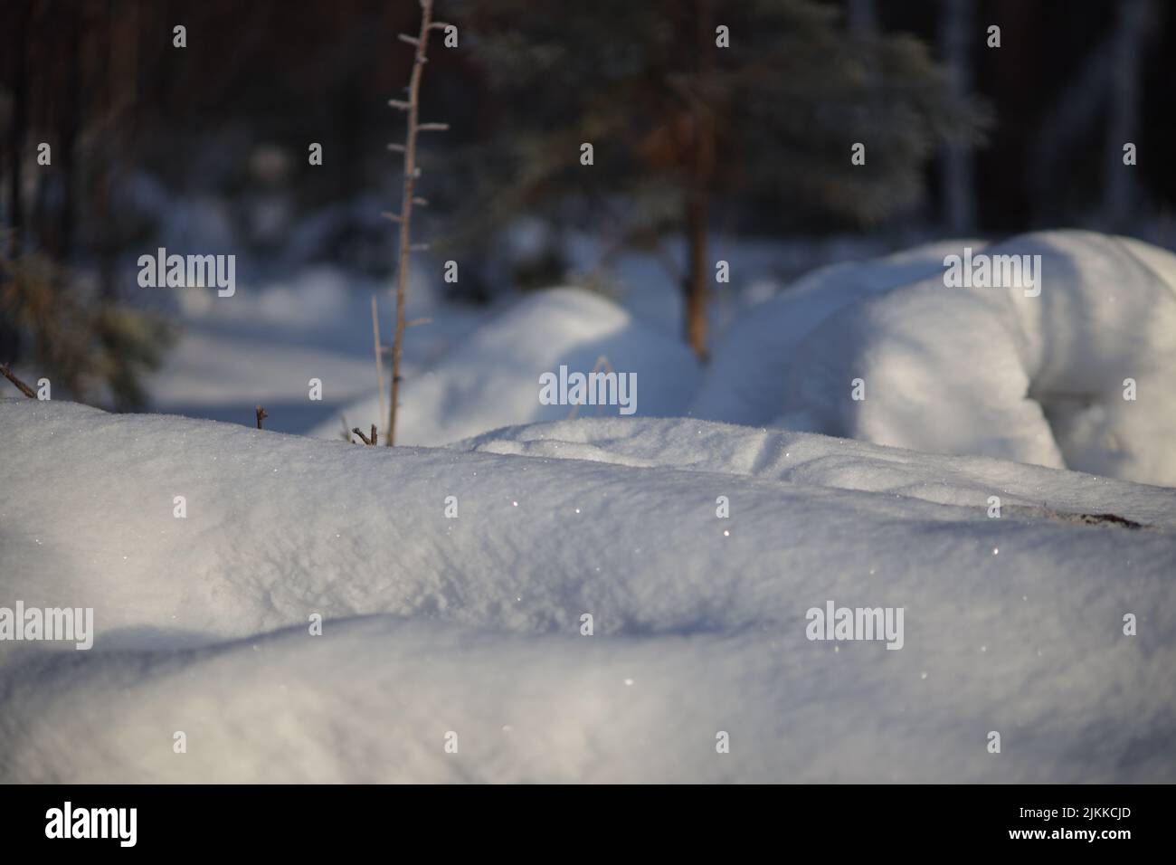 Ground layer hi-res stock photography and images - Alamy