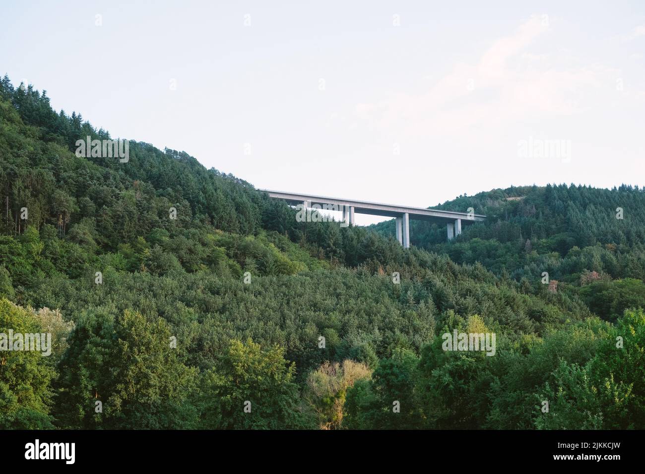 A beautiful view of the cable-stayed bridge across the Mosel, Germany ...
