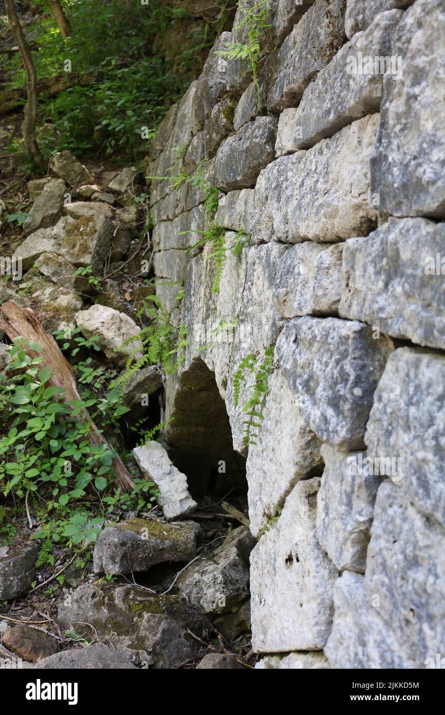 A vertical shot of a small tunnel for a river made of rocks in a green ...