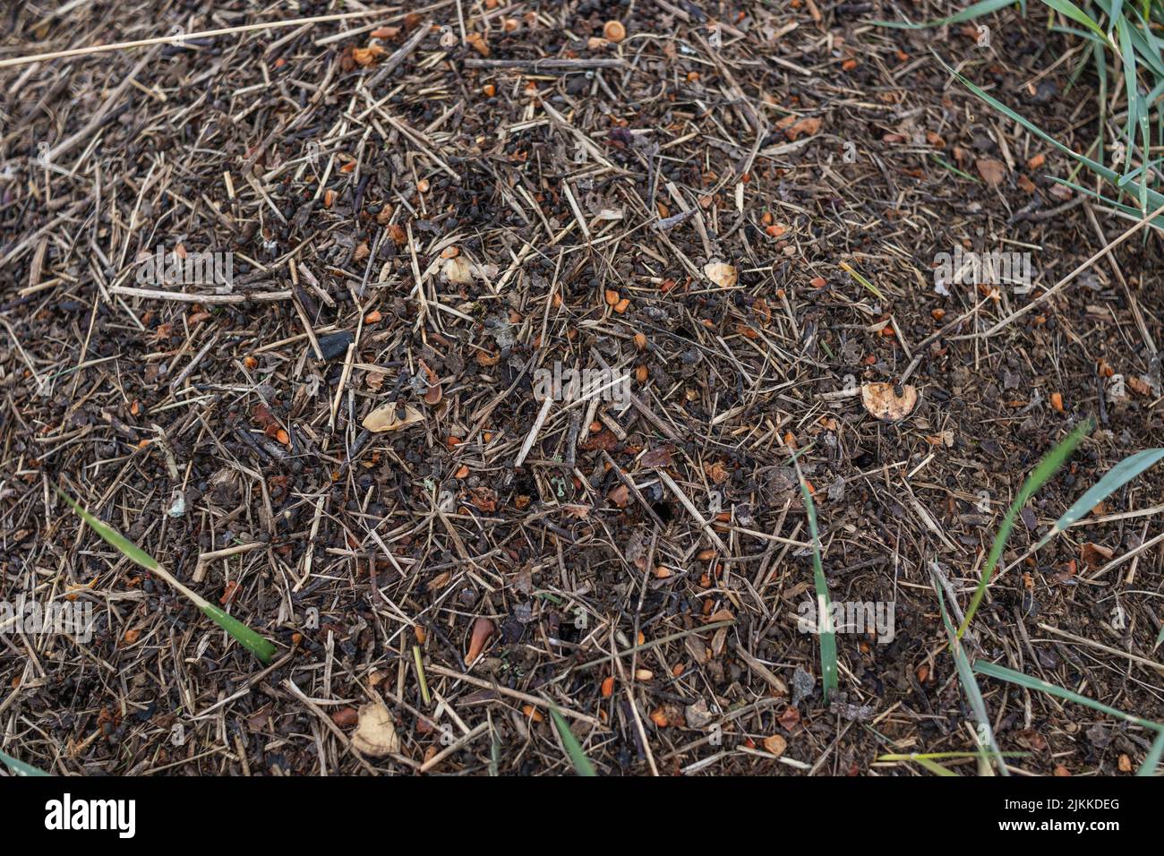Wet soil hi-res stock photography and images - Alamy