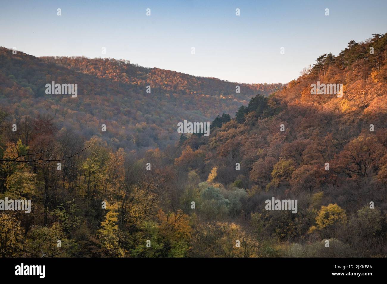 Full of trees hi-res stock photography and images - Alamy