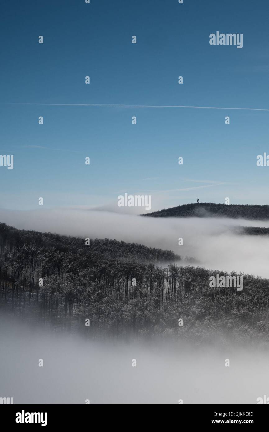 Cloud inversion trees hi-res stock photography and images - Alamy