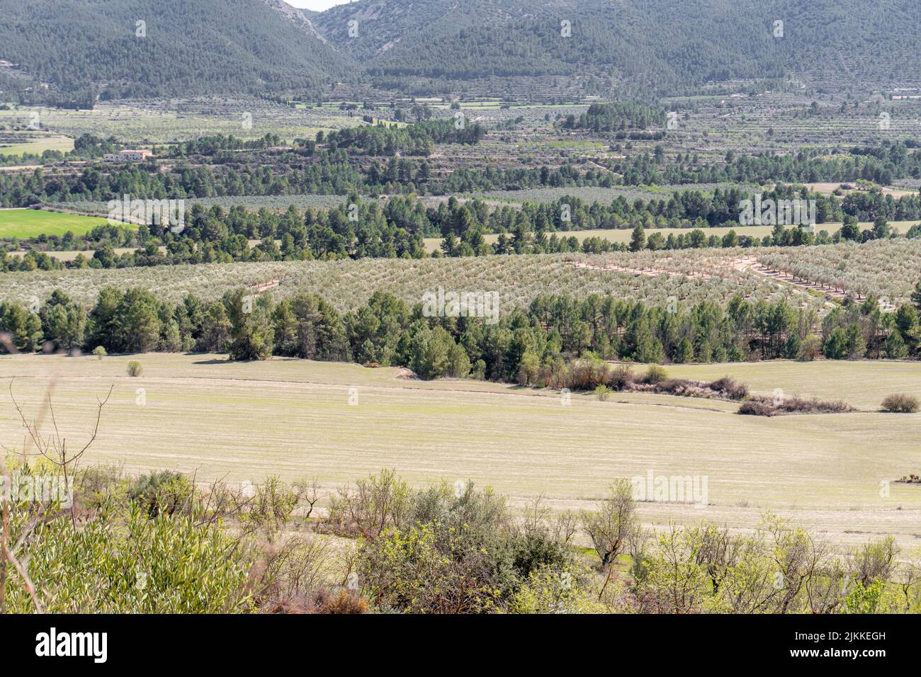 Greenery growth hi-res stock photography and images - Alamy