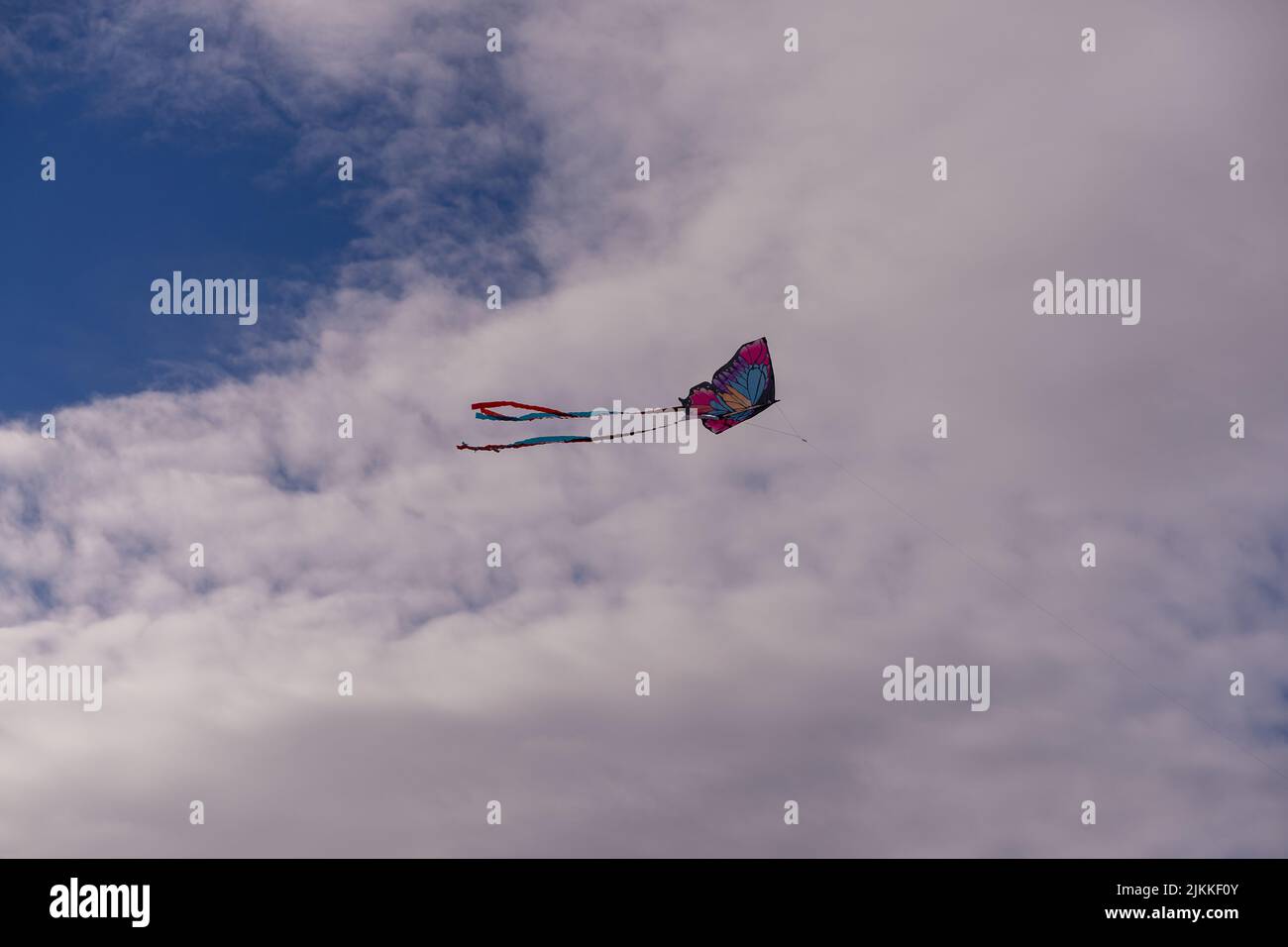 A colored air snake in flight with a cloudy sky on the background in ...