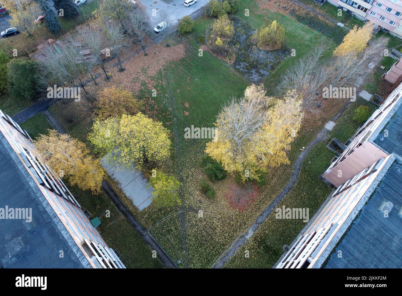 Trees in yard architecture hi-res stock photography and images - Alamy