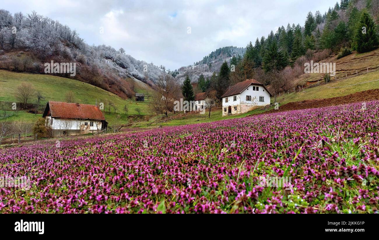 Beautiful hill landscape hi-res stock photography and images - Alamy