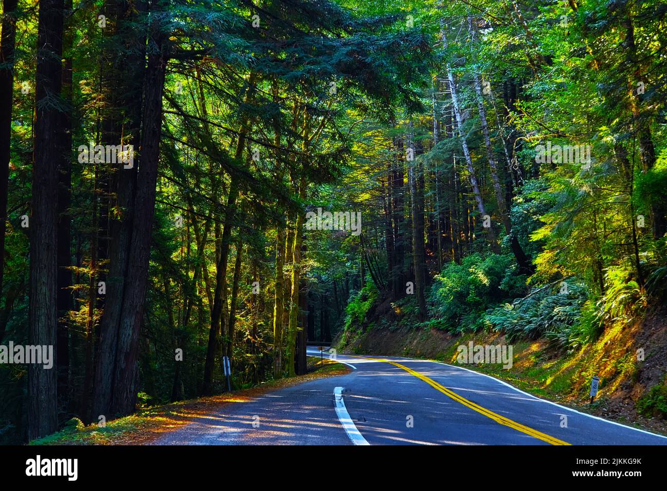 A scenic shot of a highway surrounded by trees Stock Photo - Alamy