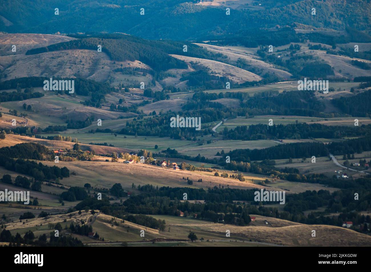 An aerial view of arid lands with dense forests and scattered bushes on ...