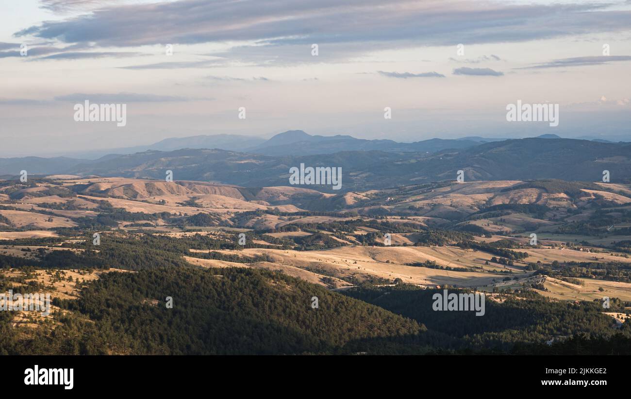 An aerial view of arid lands with dense forests and scattered bushes on ...