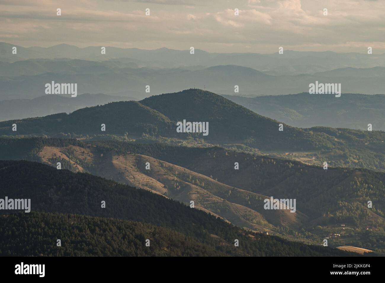 An aerial view of arid lands with dense forests and scattered bushes on ...
