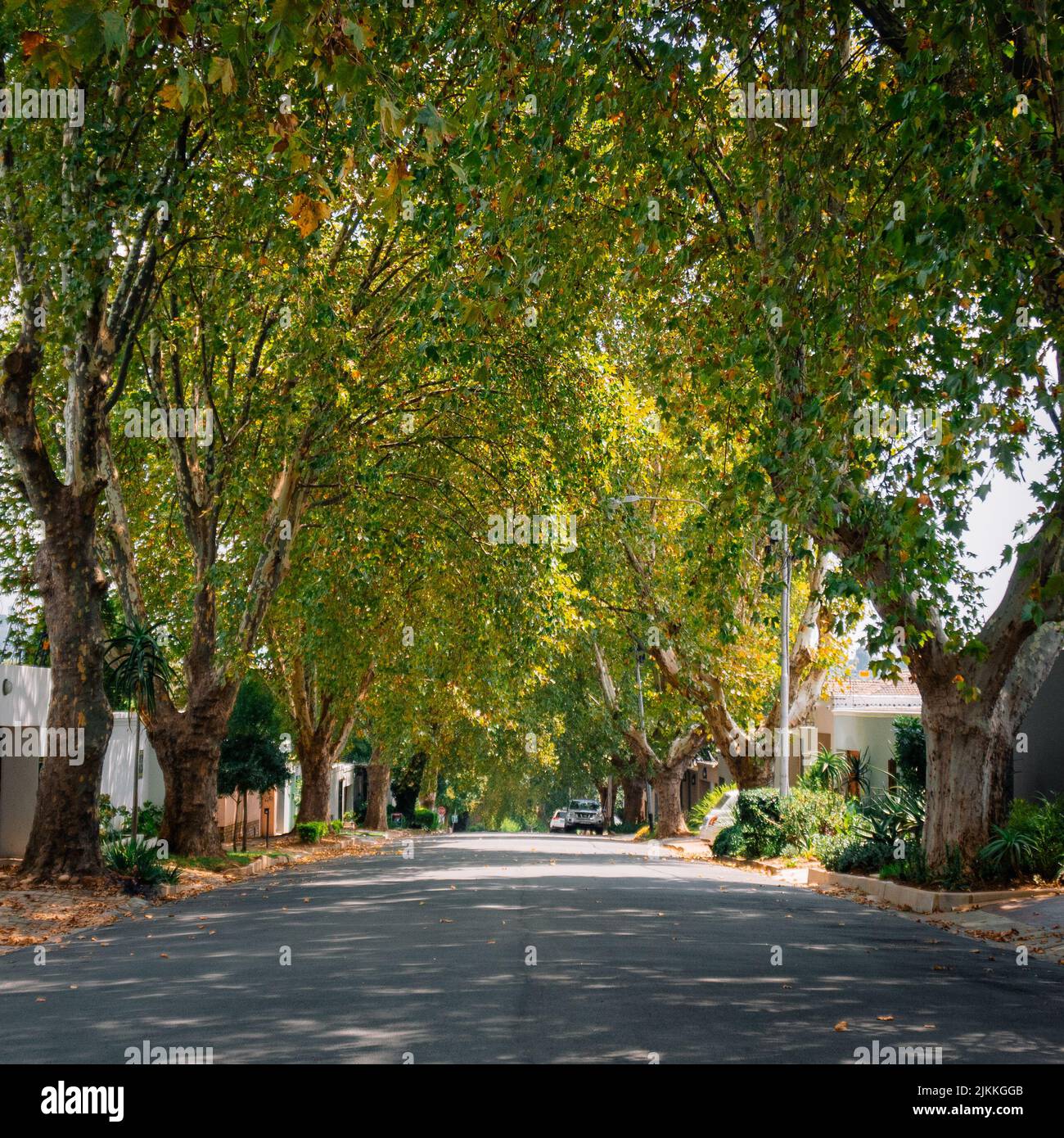 Large pavement hi-res stock photography and images - Alamy