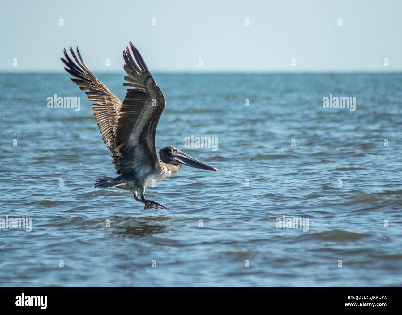 Flying over wilderness hi-res stock photography and images - Alamy