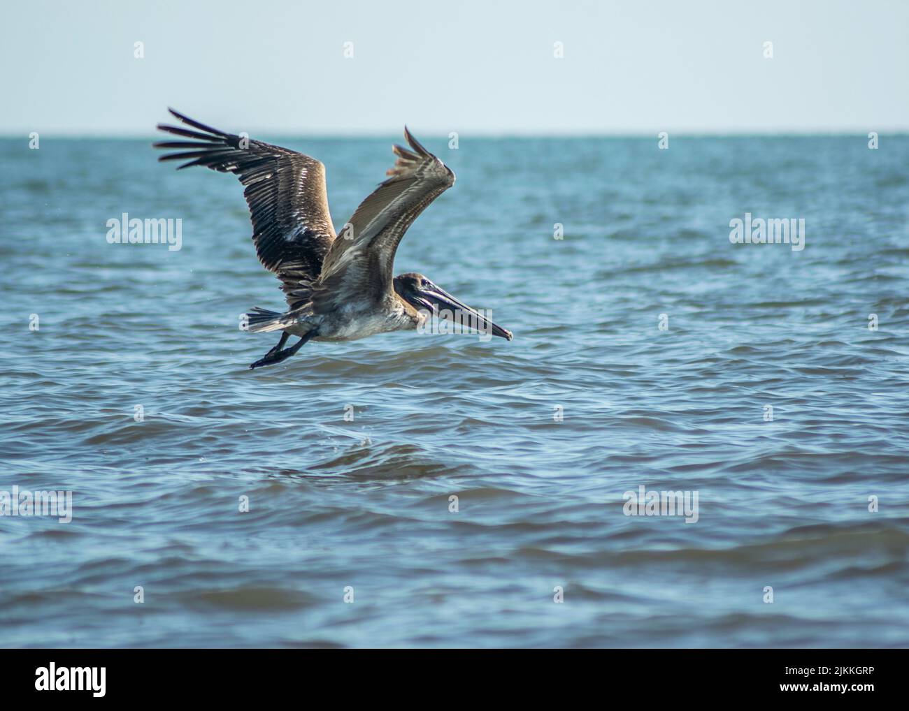 Flying over wilderness hi-res stock photography and images - Alamy