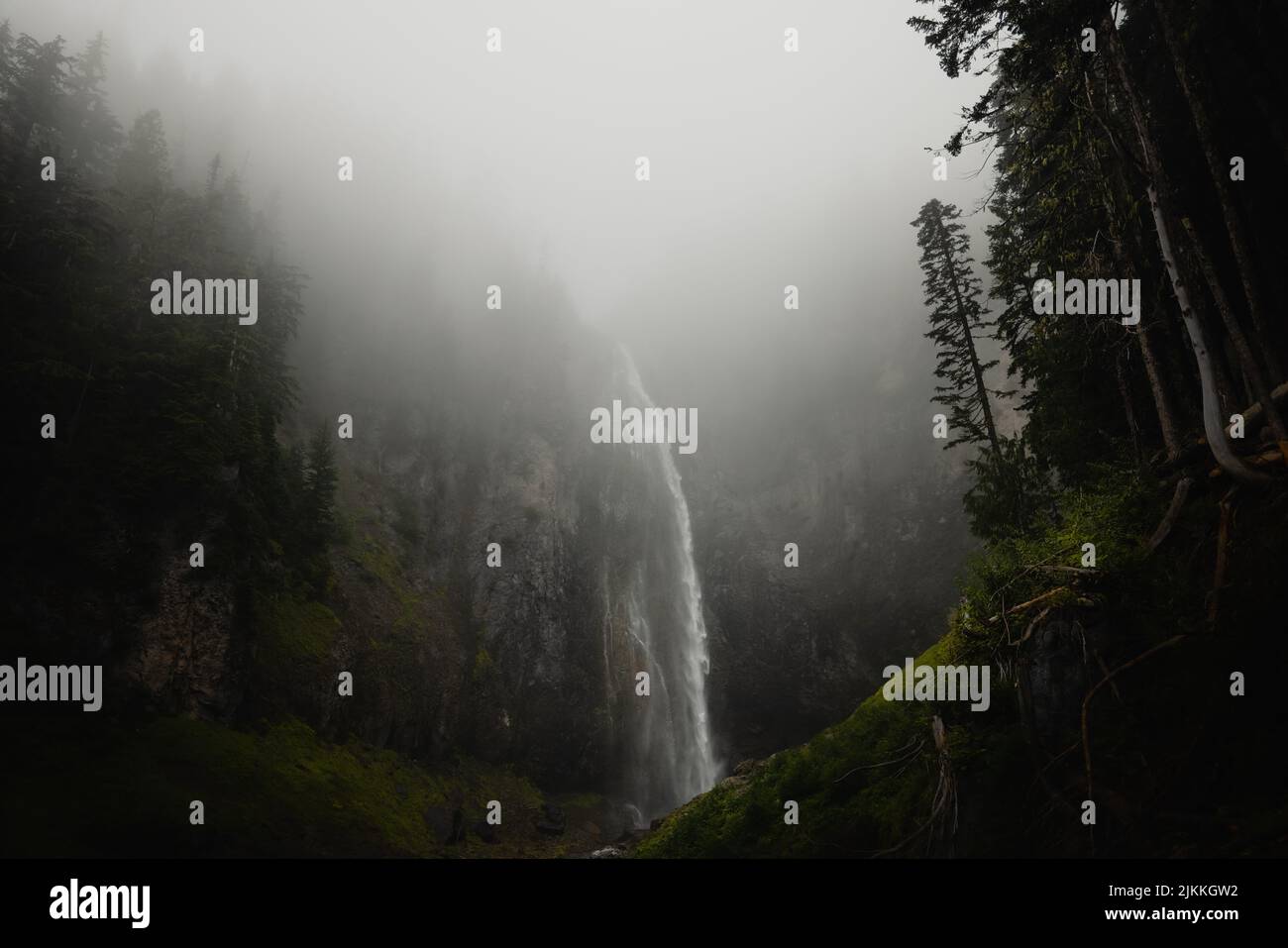 A the irresistible beauty of the waterfall in a forest on a foggy day ...