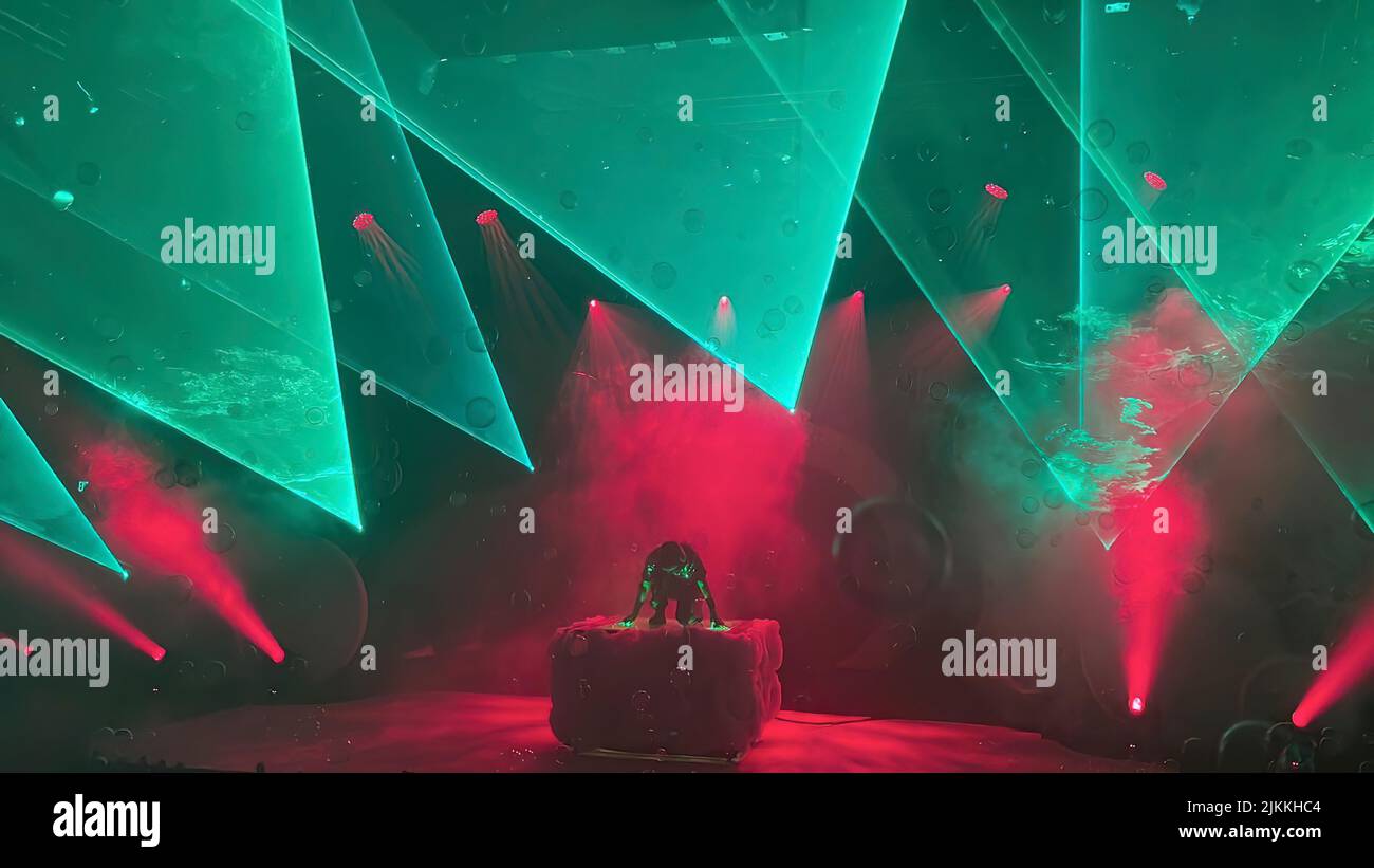 The Melody Yang performs a live laser and bubble show at the Discovery ...