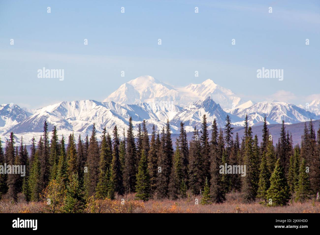 Denali national park hike hi-res stock photography and images - Alamy